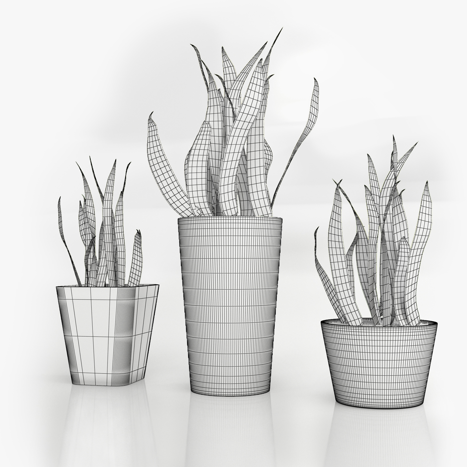 Snake plant 3D model - TurboSquid 1284525