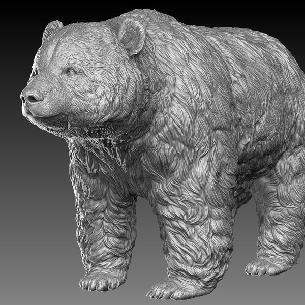 3D Panda Models | TurboSquid