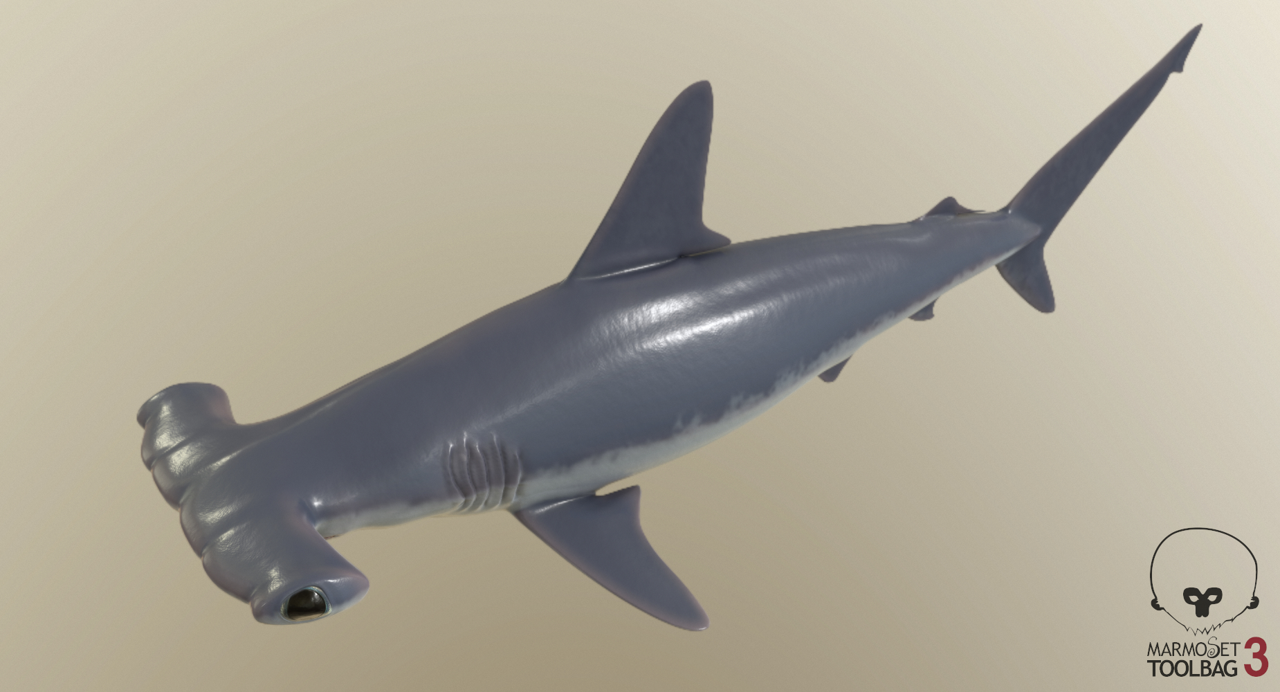 3D hammerhead shark - TurboSquid 1284622