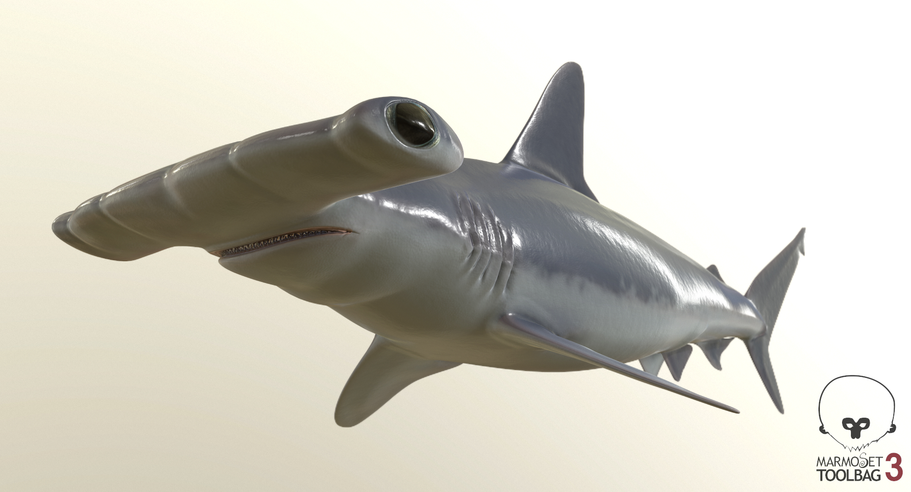 3D hammerhead shark - TurboSquid 1284622