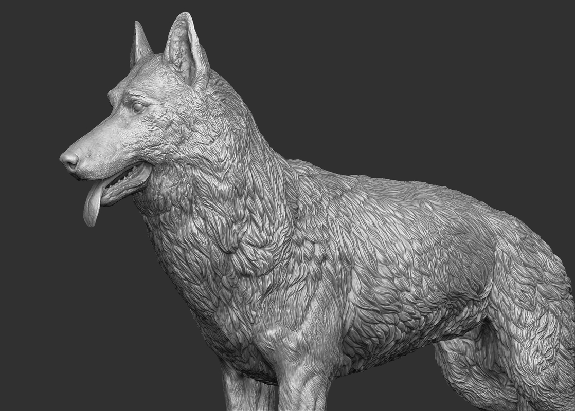 German shepherd realistic model - TurboSquid 1284699