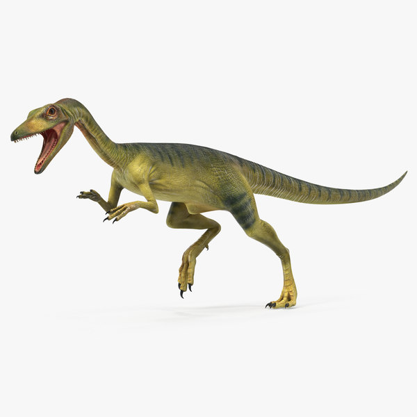 Raptor 3D Models for Download | TurboSquid