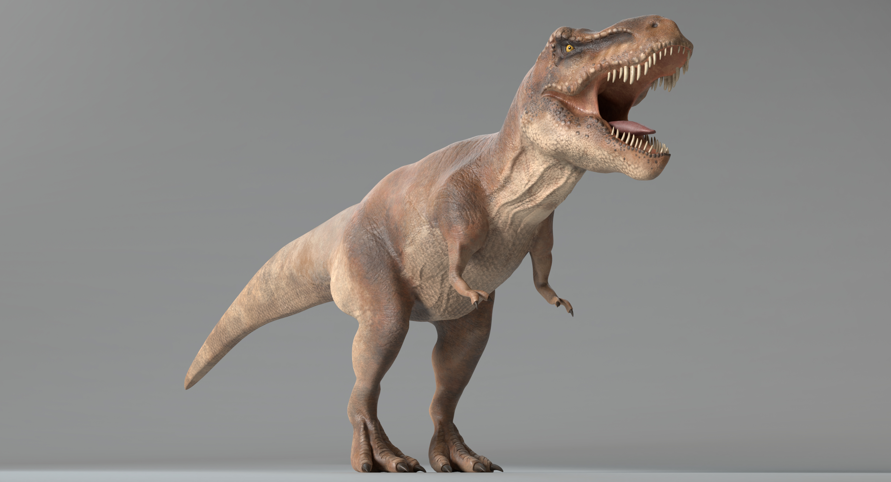 modelo 3d Tirano-saurio Rex - TurboSquid 1284843