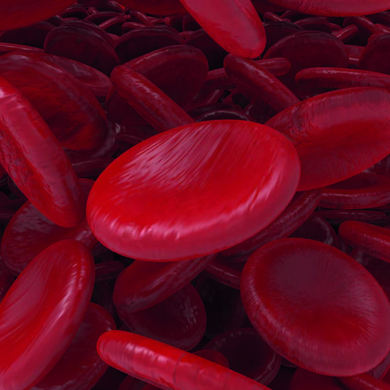 3D red blood cell model - TurboSquid 1286277