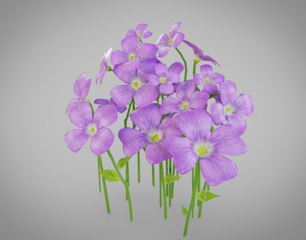 Violet 3D Models for Download | TurboSquid