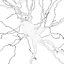 Dendrite neuron cell 3D model - TurboSquid 1286677