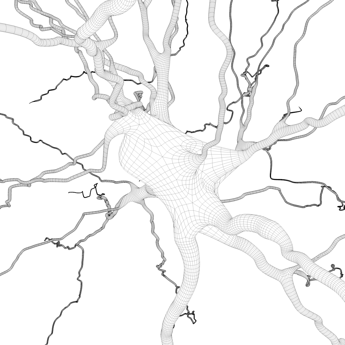Dendrite neuron cell 3D model - TurboSquid 1286677