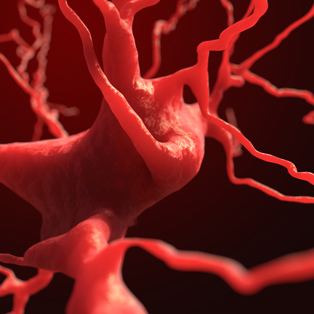 Dendrite neuron cell 3D model - TurboSquid 1286677