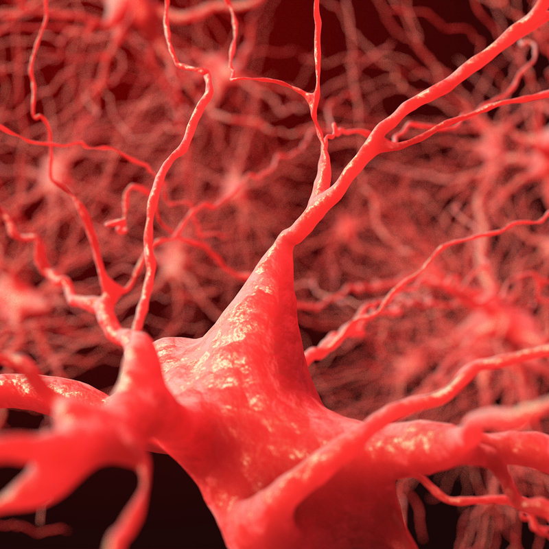 Dendrite neuron cell 3D model - TurboSquid 1286677