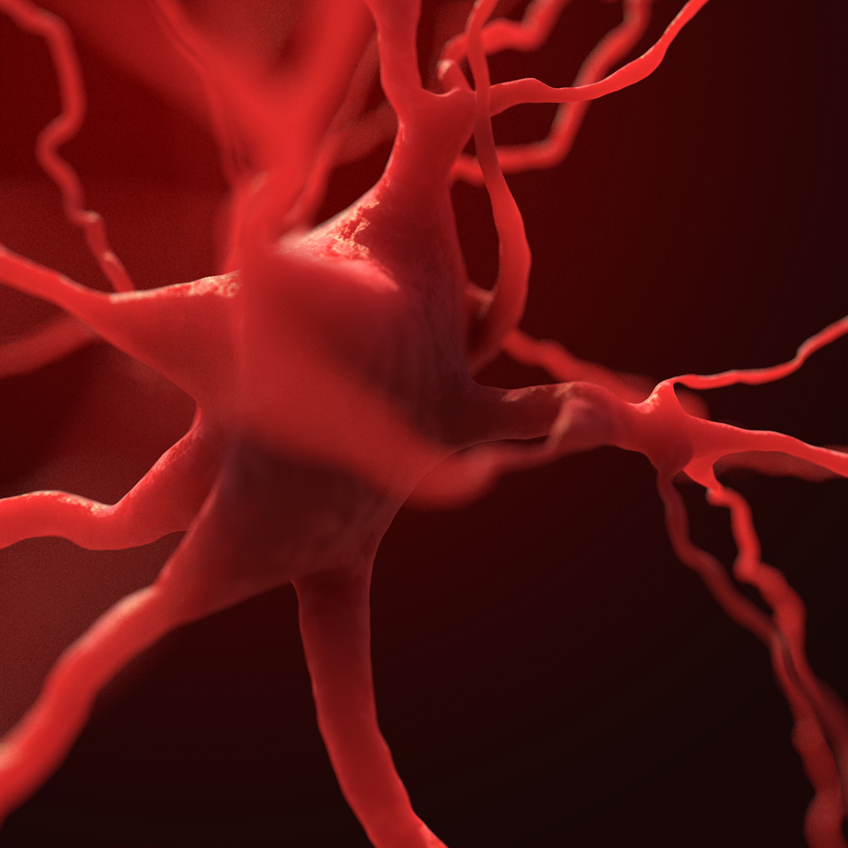 Dendrite neuron cell 3D model - TurboSquid 1286677