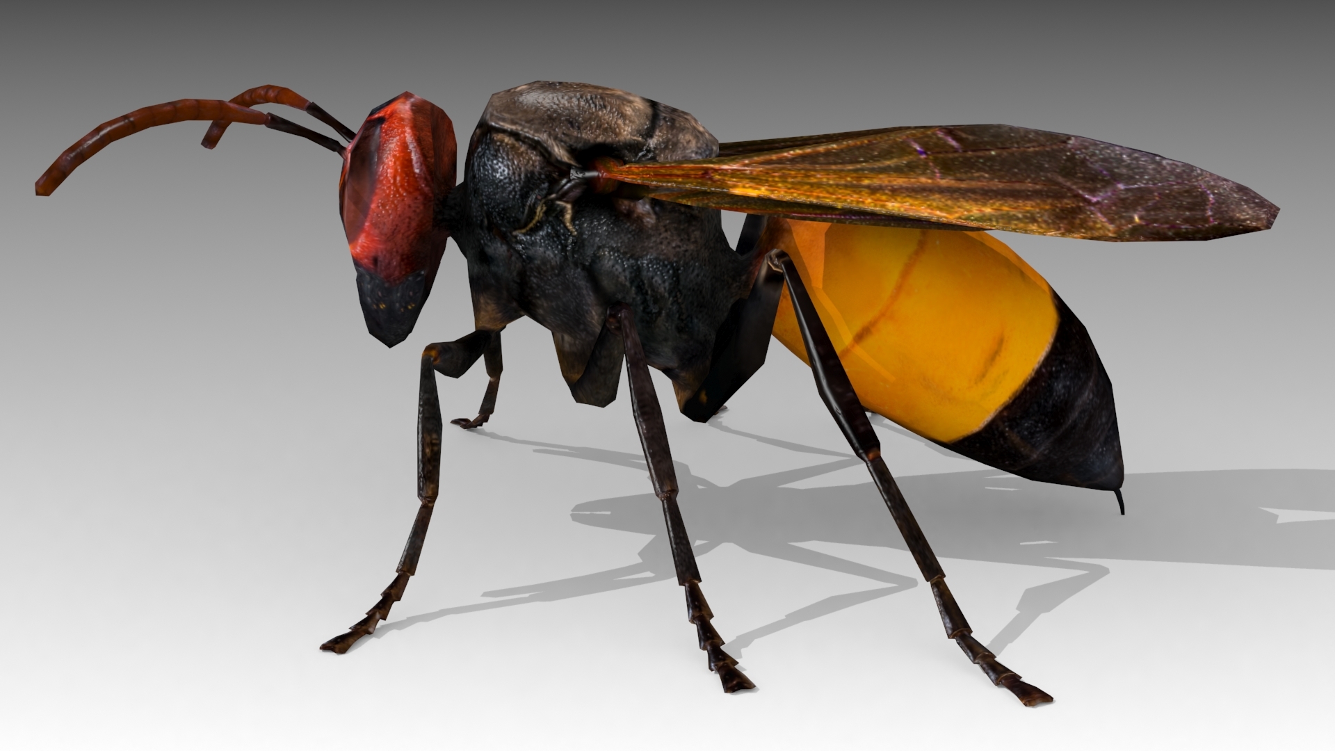 3D hornet animations model - TurboSquid 1286730