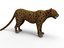 3D leopard rigged model - TurboSquid 1287148