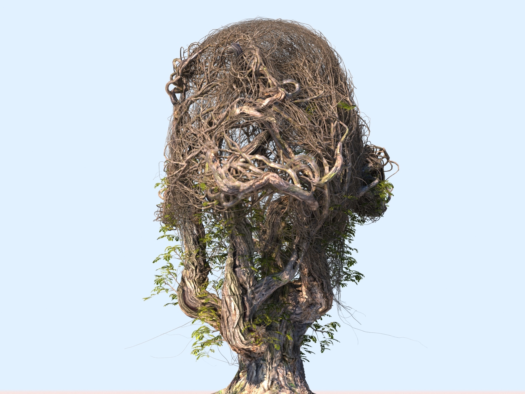 3D модель Tree Head HD - TurboSquid 1287336