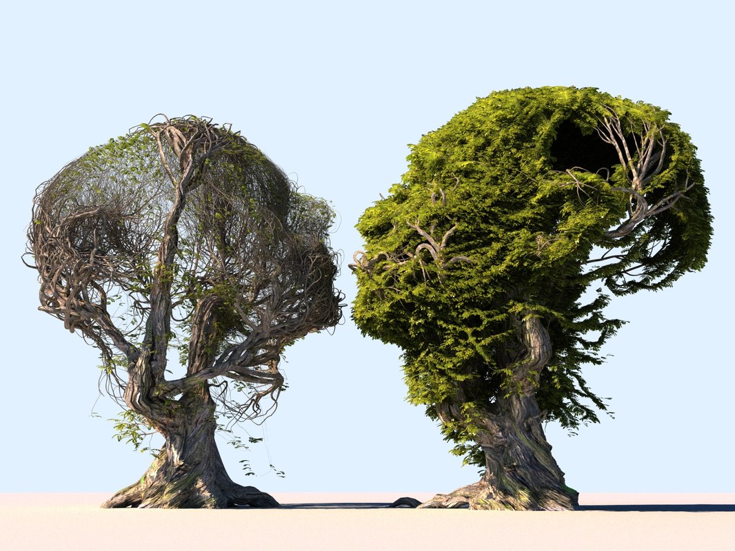 3D model tree head scan - TurboSquid 1287362