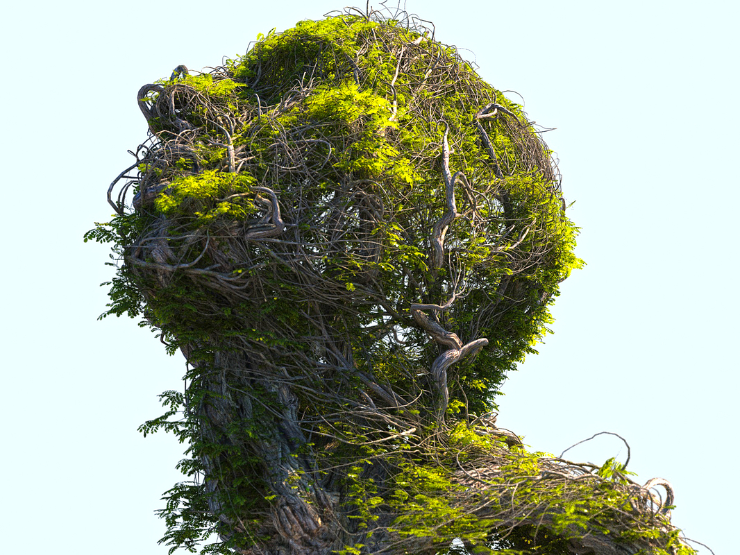 Tree head pack 10 3D model - TurboSquid 1287368