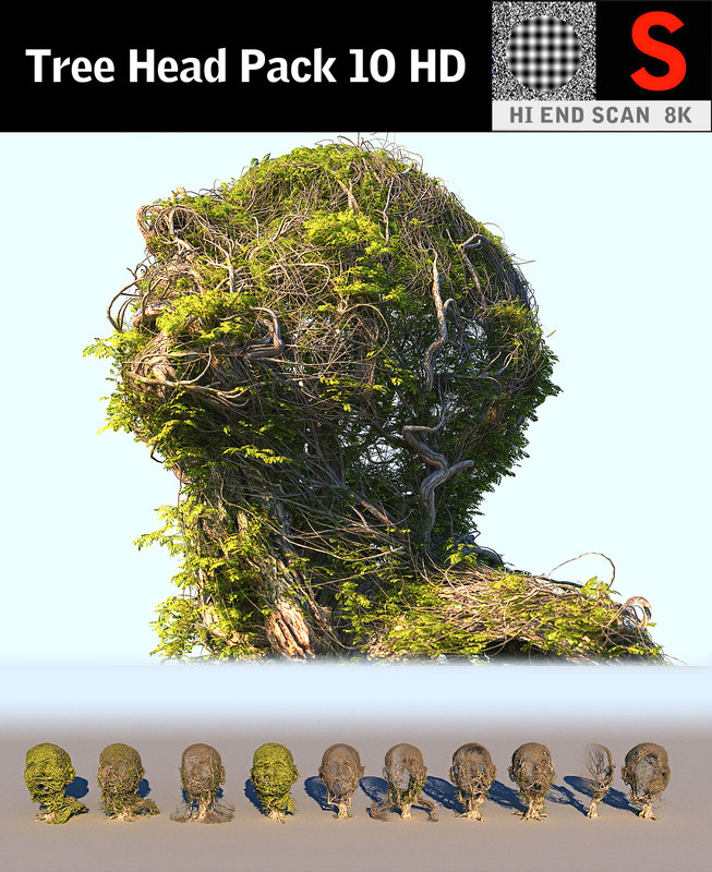 Tree head pack 10 3D model - TurboSquid 1287368