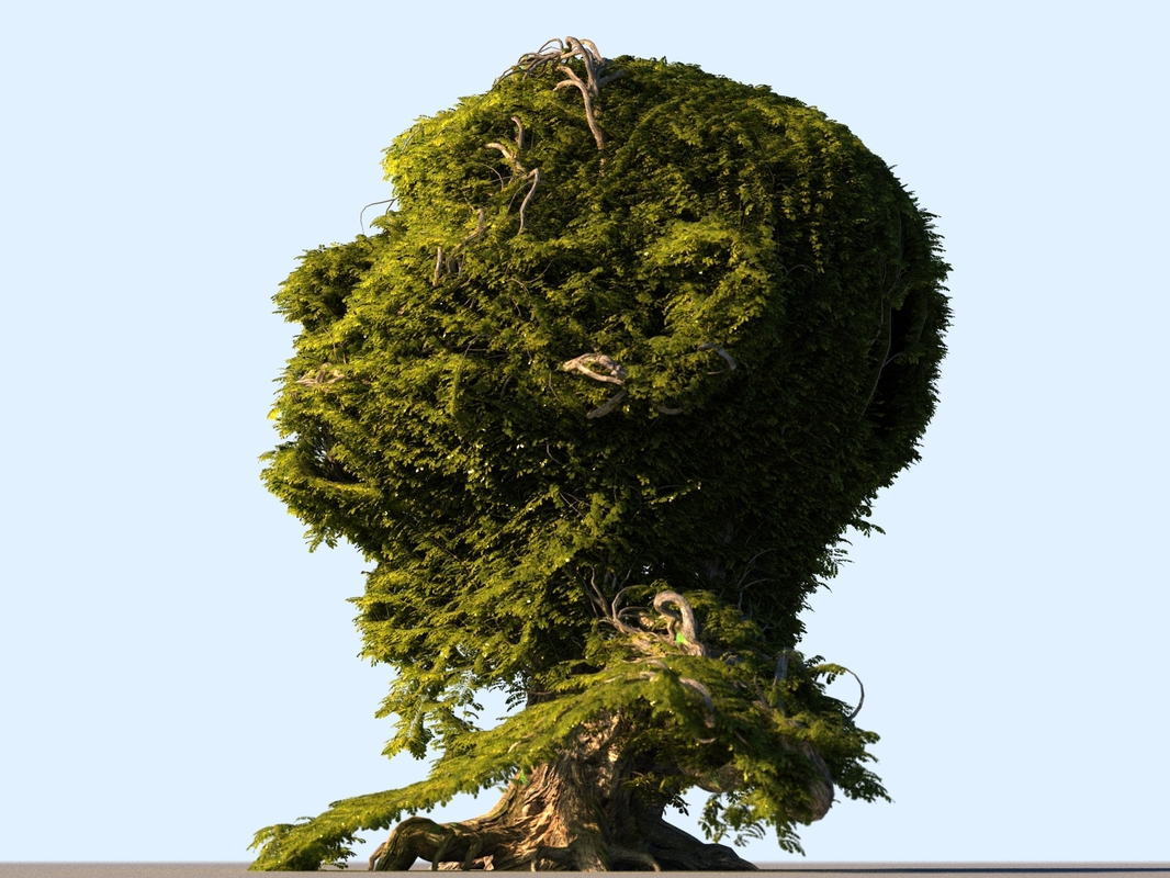Tree head pack 10 3D model - TurboSquid 1287368