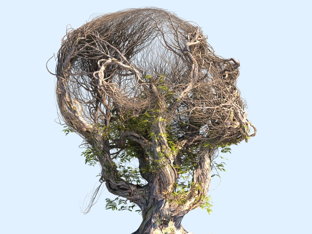 Tree head pack 10 3D model - TurboSquid 1287368