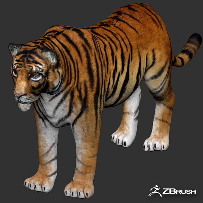 Tiger games animations 3D model - TurboSquid 1287909