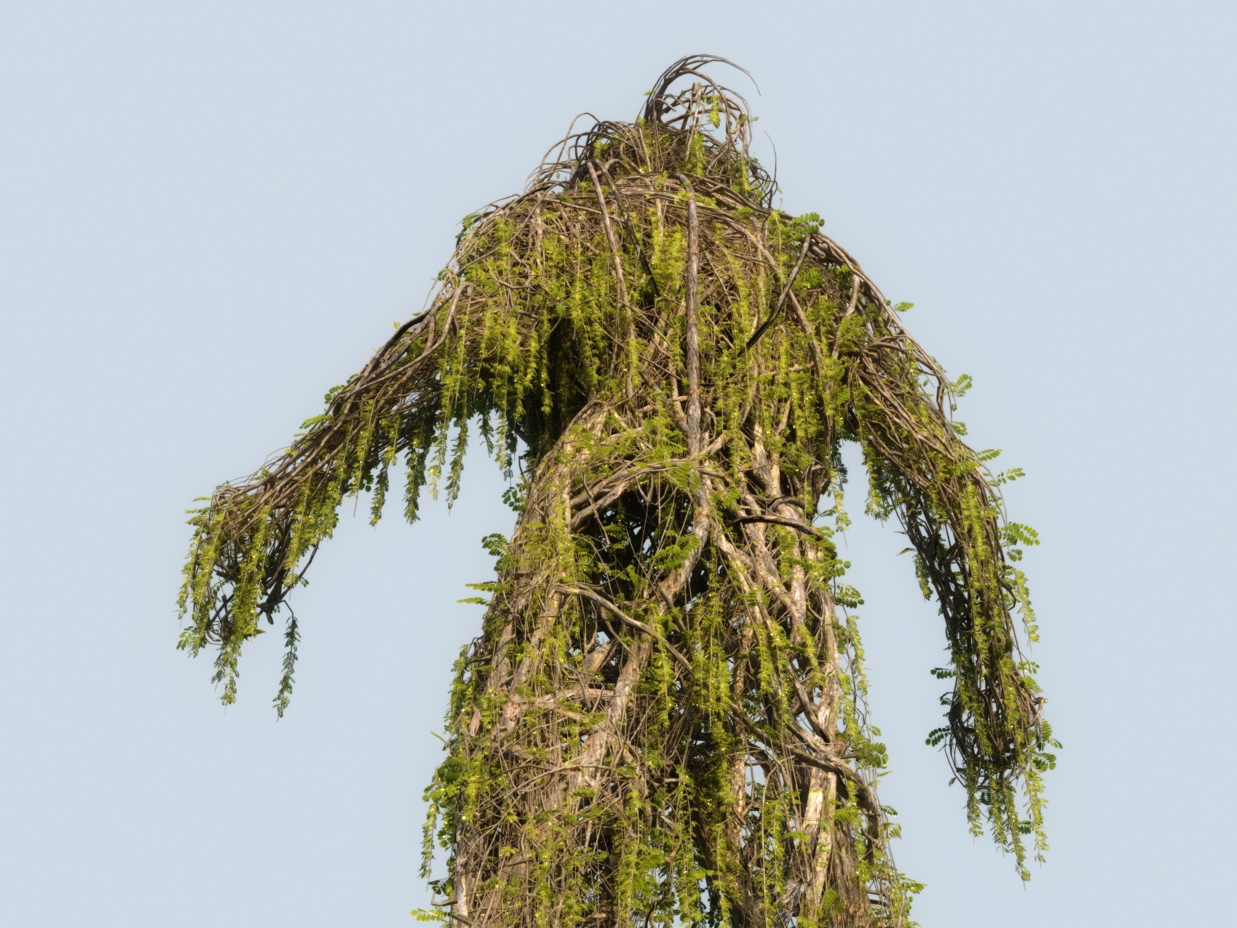 Tree hd 3D model - TurboSquid 1288089