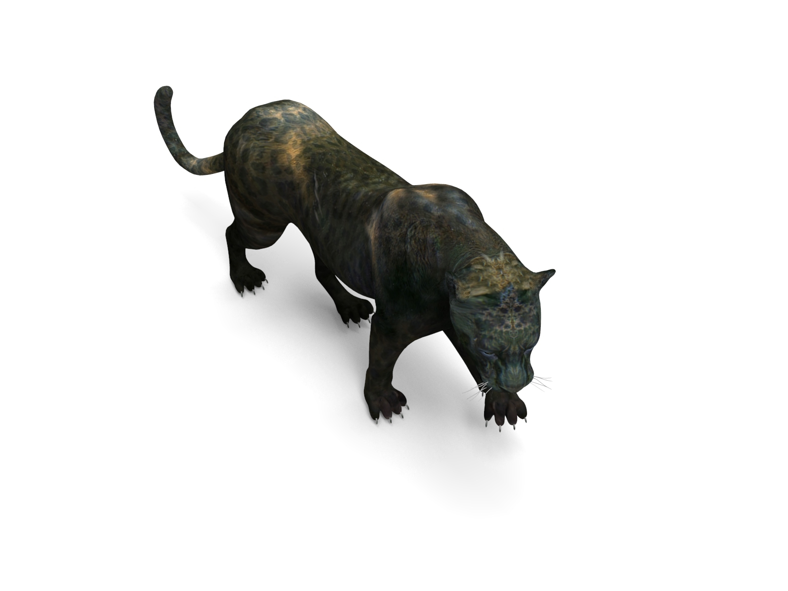 Panther rigged animation 3D - TurboSquid 1288598