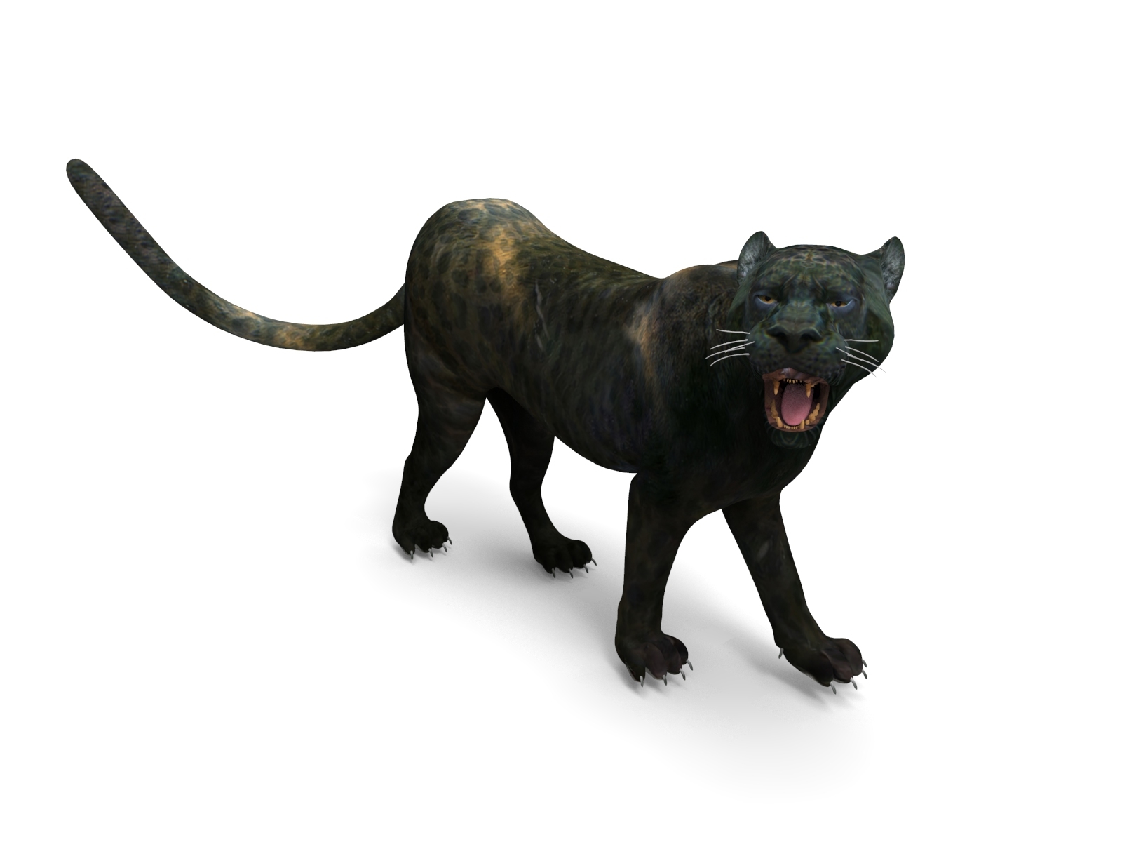 Panther rigged animation 3D - TurboSquid 1288598
