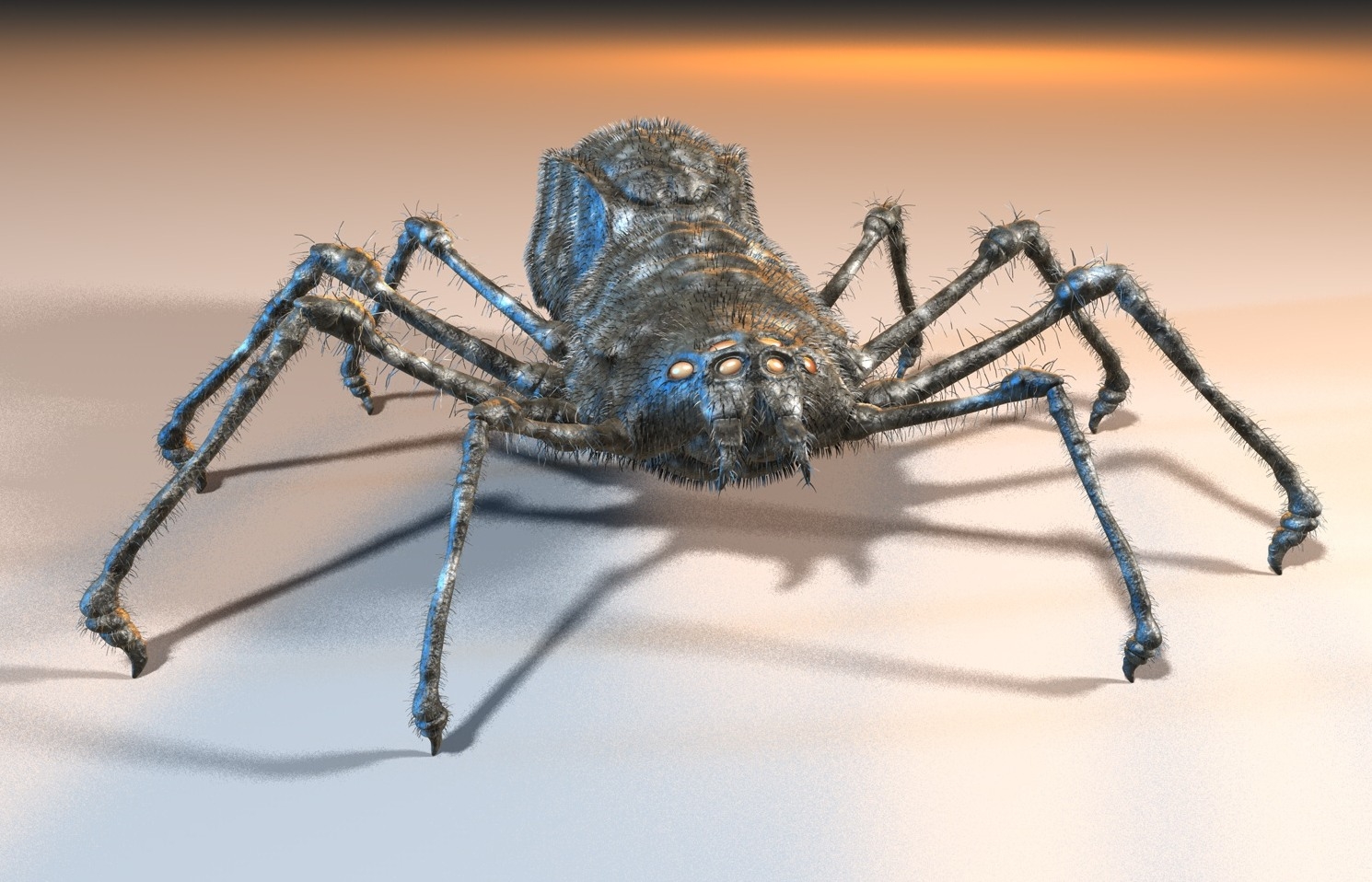 Free spider one-of-a-kind animations 3D - TurboSquid 1288818