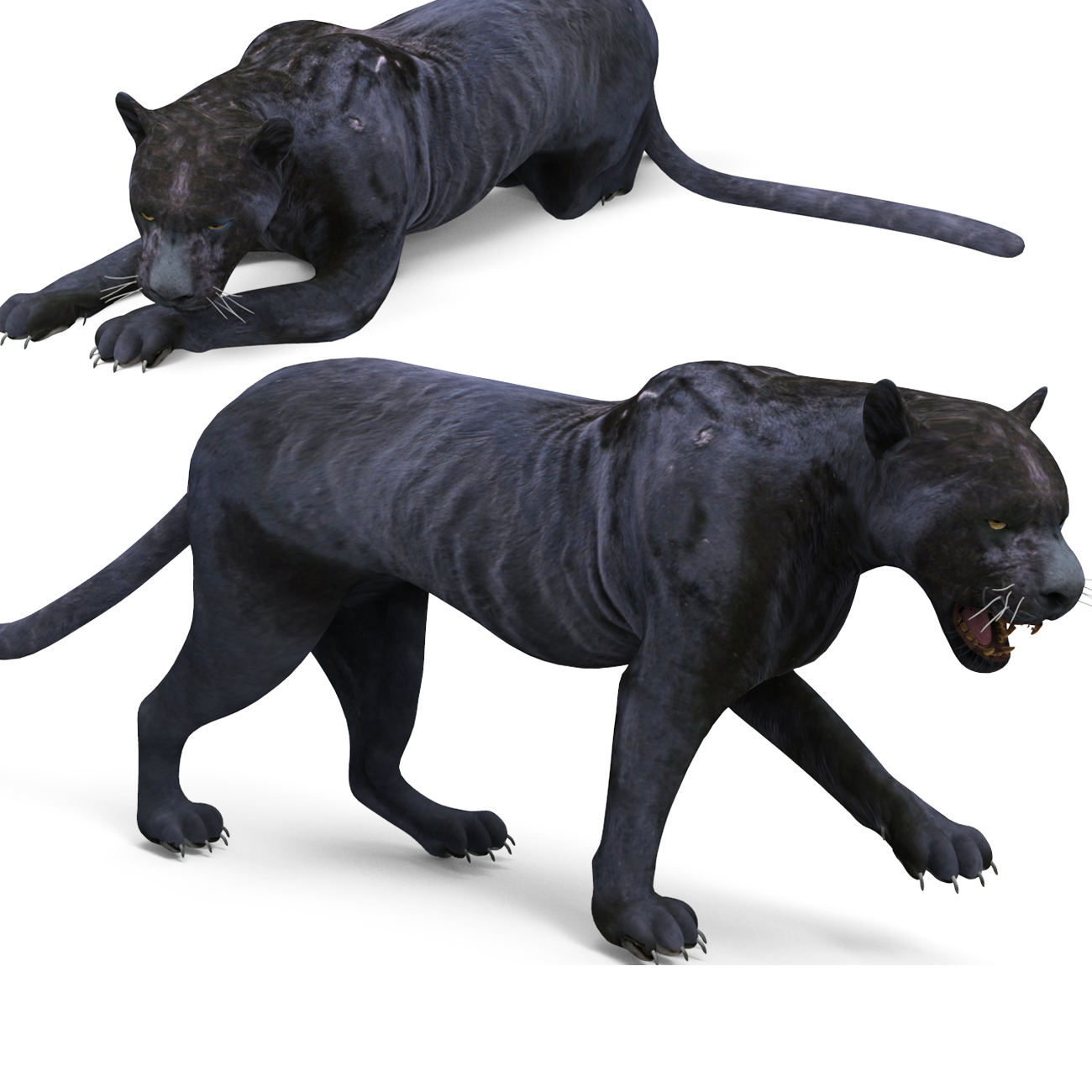 3D panther rigged animation model - TurboSquid 1289582