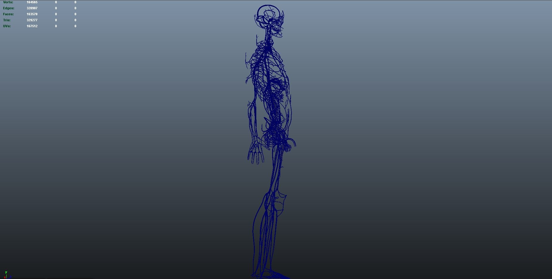 3D body natural skin muscles - TurboSquid 1289594