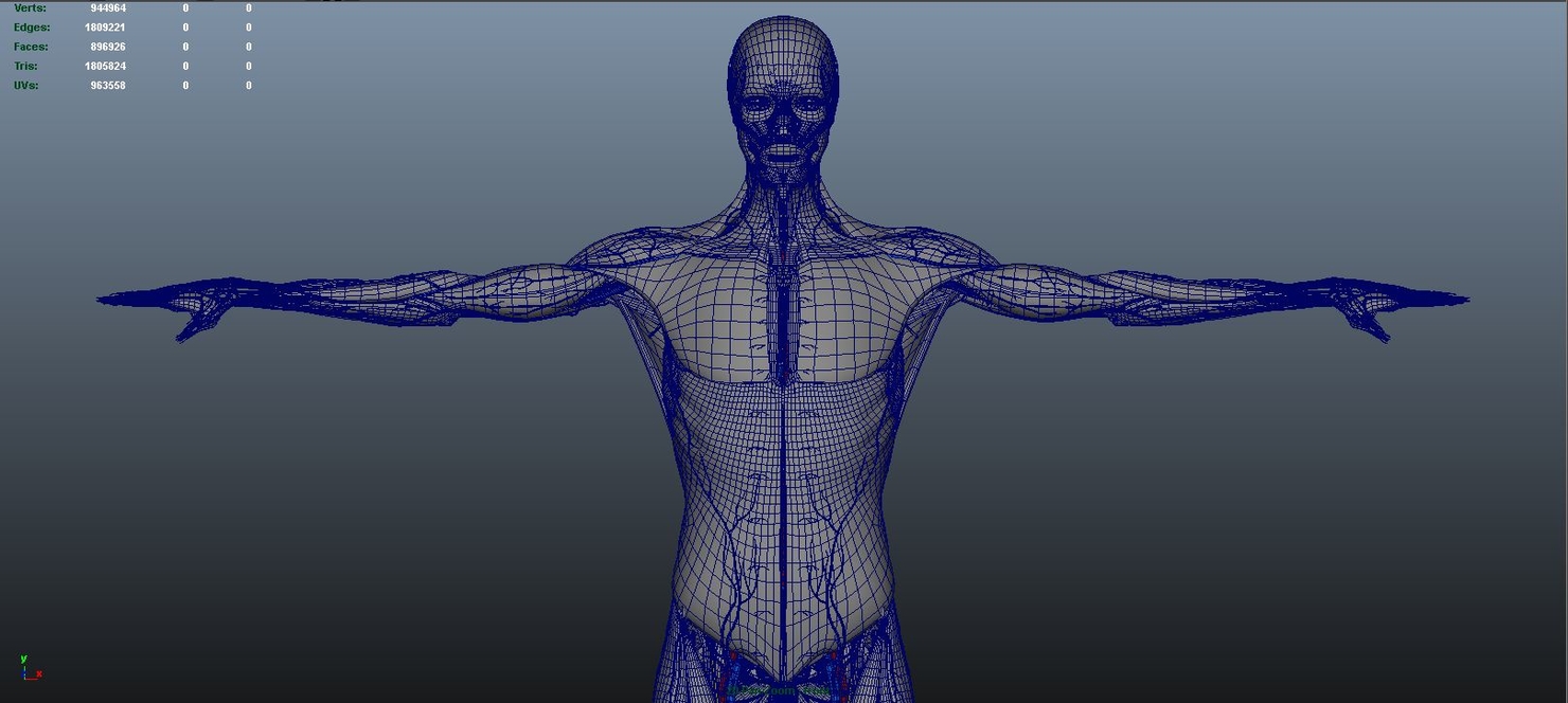 3D body natural skin muscles - TurboSquid 1289594