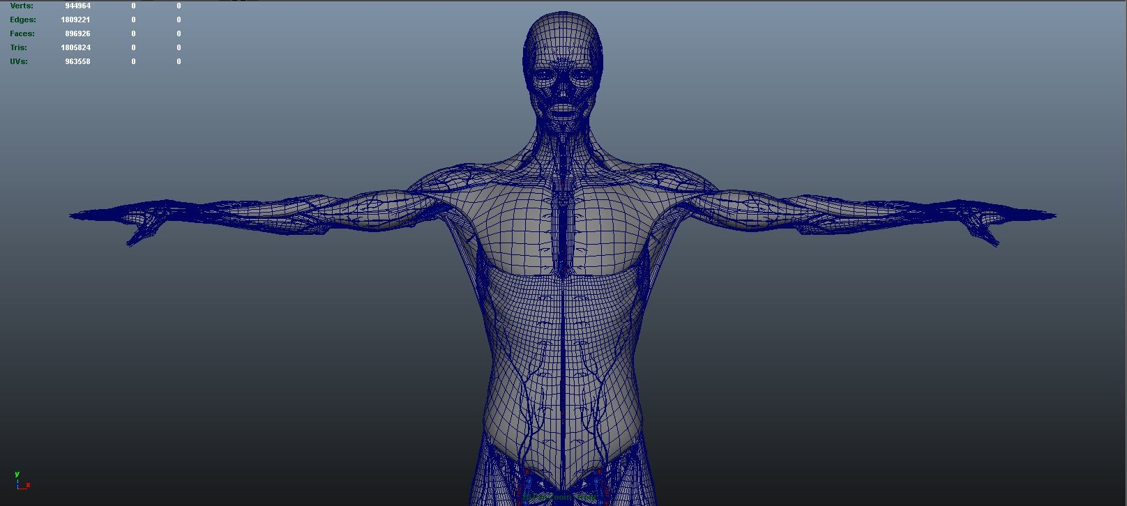 3D body natural skin muscles - TurboSquid 1289594