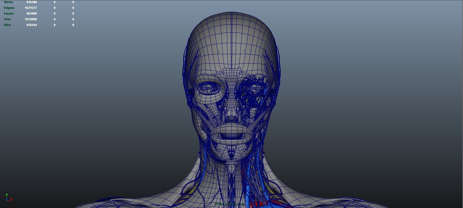 3D body natural skin muscles - TurboSquid 1289594