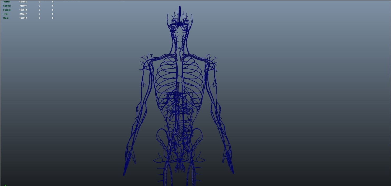 3D body natural skin muscles - TurboSquid 1289594