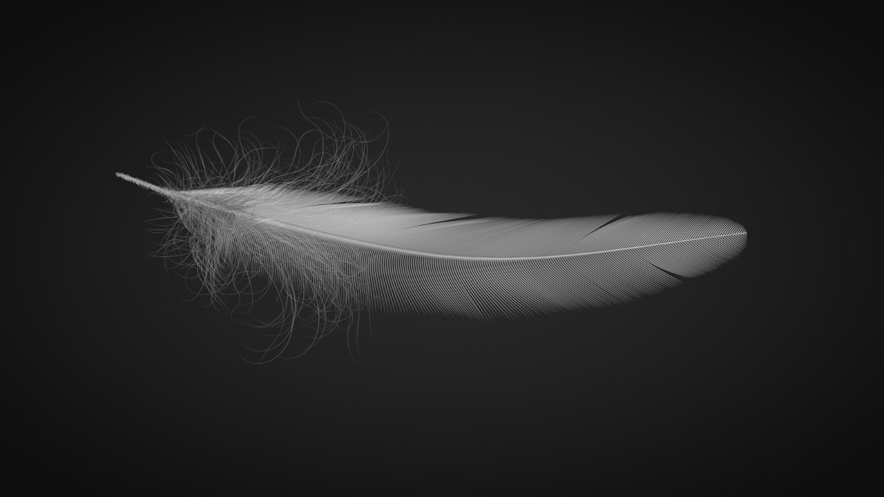 Feather 3D model - TurboSquid 1290347