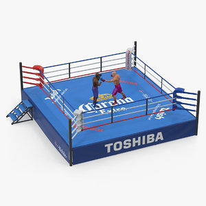 3ds max boxing arena