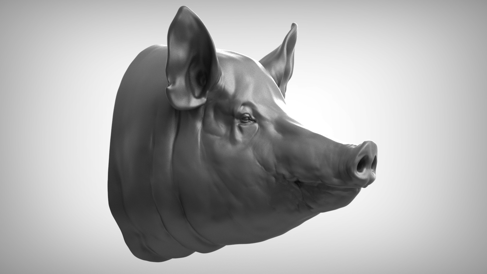 3D model pig realistic head - TurboSquid 1290565