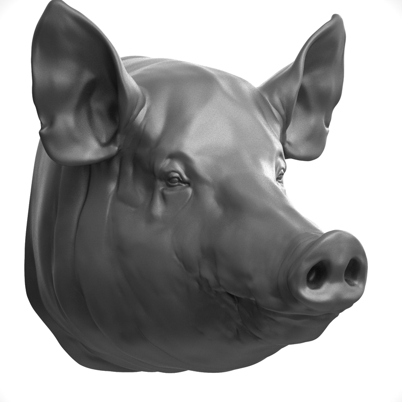 3D model pig realistic head - TurboSquid 1290565