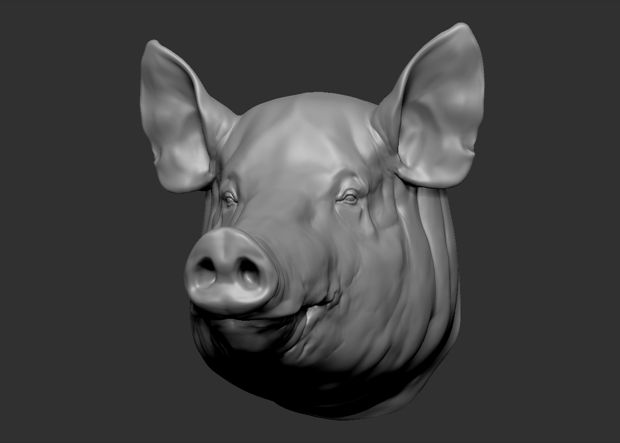 3D model pig realistic head - TurboSquid 1290565
