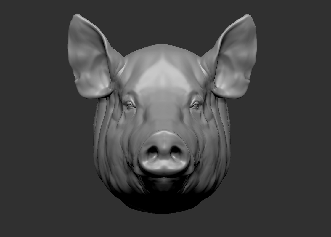 3D model pig realistic head - TurboSquid 1290565