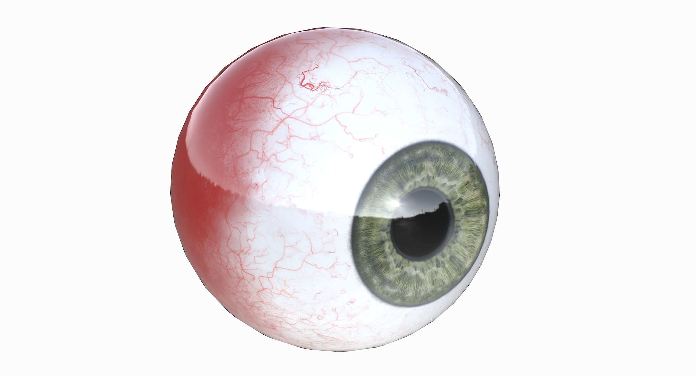 Eye human iris 3D model - TurboSquid 1290735