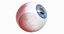 Eye human iris 3D model - TurboSquid 1290735