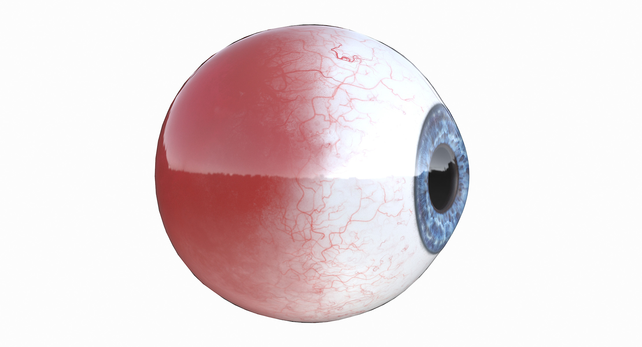 Eye human iris 3D model - TurboSquid 1290735