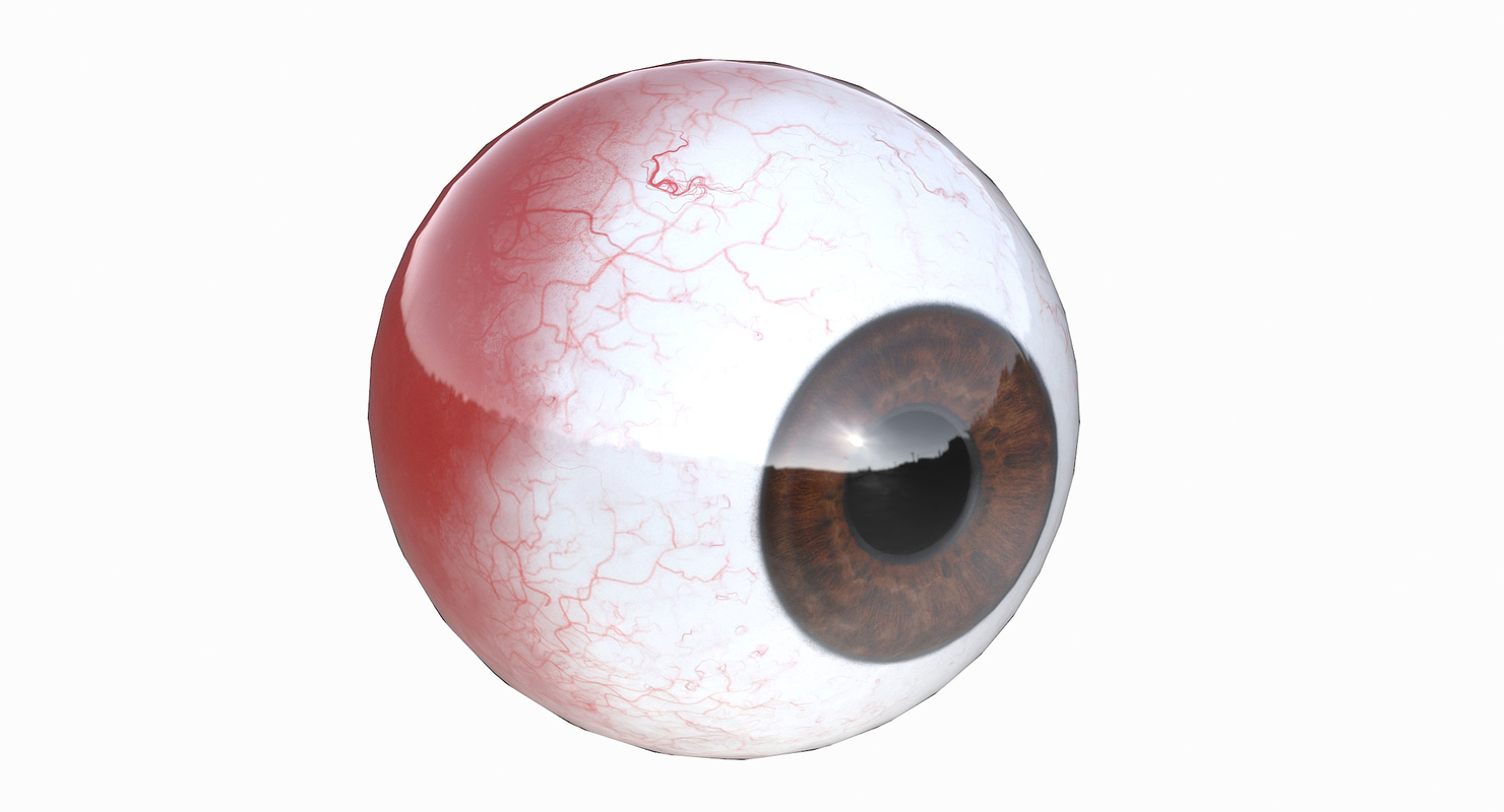 Eye human iris 3D model - TurboSquid 1290735