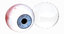 Eye human iris 3D model - TurboSquid 1290735