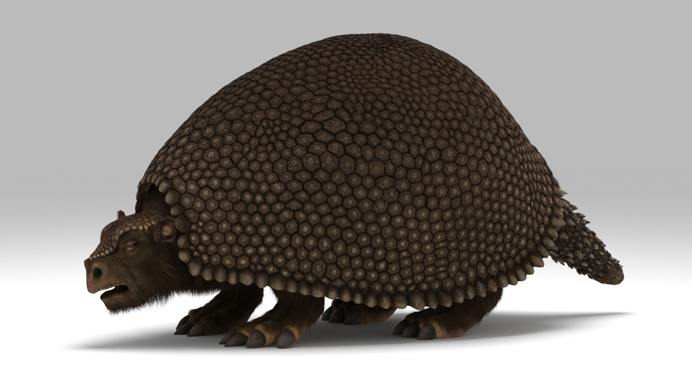 Glyptodon 3D Models for Download | TurboSquid