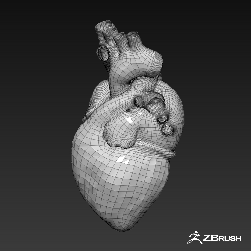 modelo 3d Corazon realista - TurboSquid 1290869