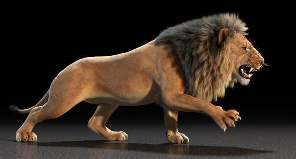 3D lion rigged - TurboSquid 1291185