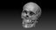 3D model realistic skull - TurboSquid 1291994