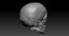 3D model realistic skull - TurboSquid 1291994