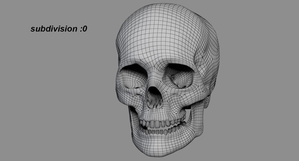 3D model realistic skull - TurboSquid 1291994